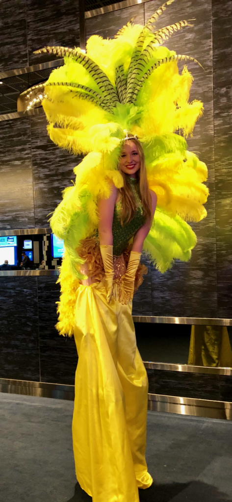 Stilt Walkers - Human Statue Bodyart